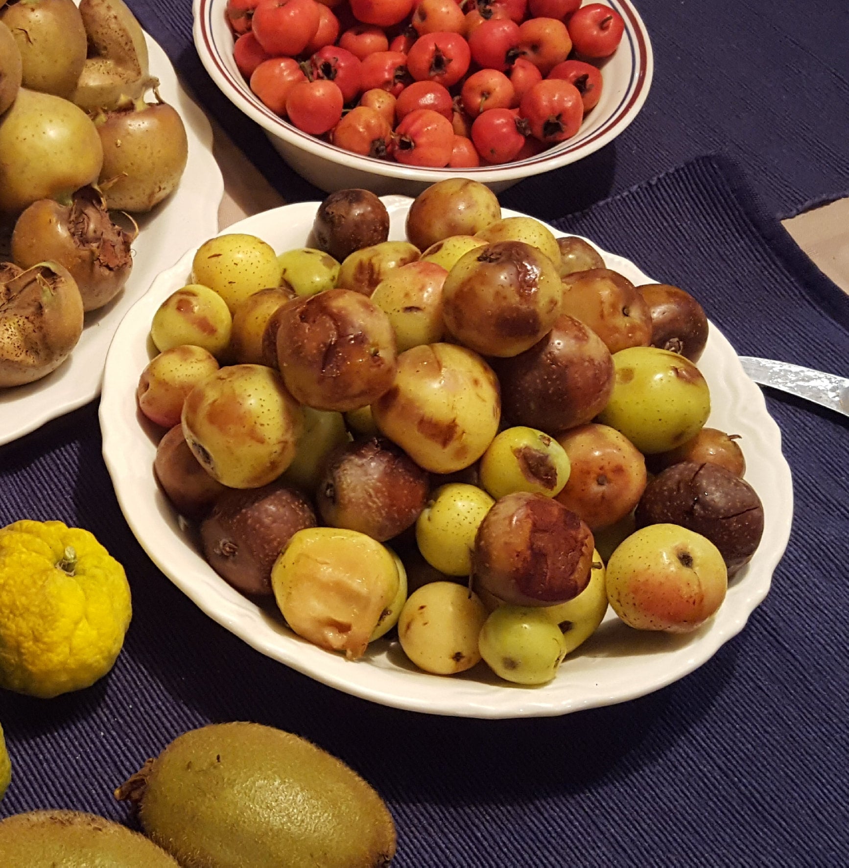 Sorbus (Cormus) domestica - Service Tree, Cormier | Johann's Garden - A ...