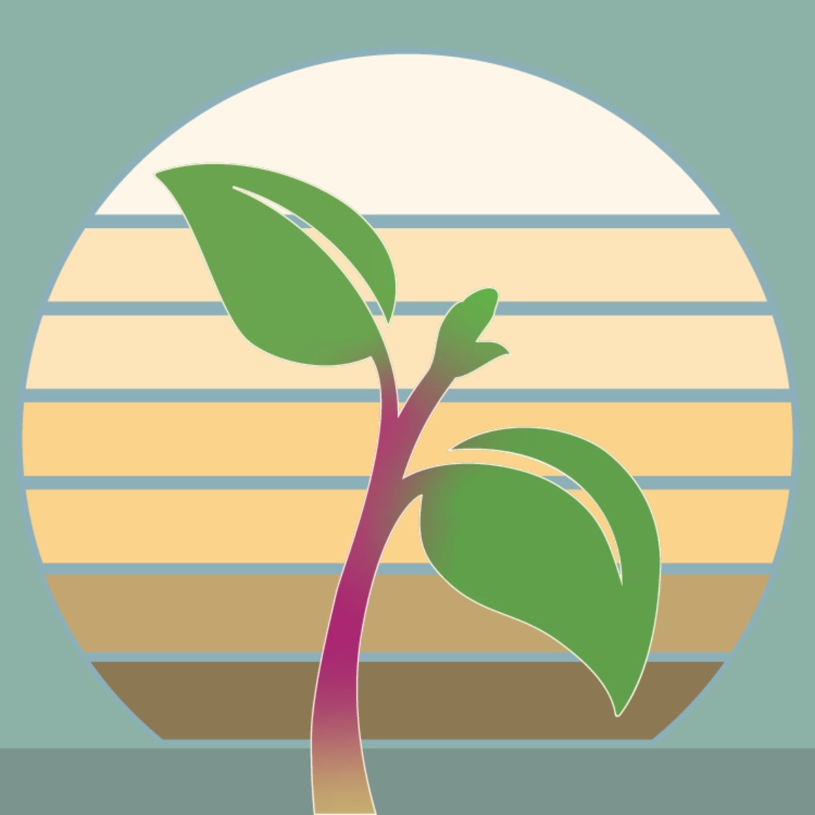 Fargesia dracocephala var. rufa 'Sunset Glow' - Clumping Bamboo ...